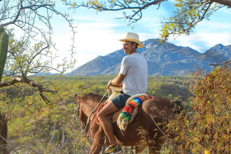 Los Cabos: Horseback Riding in Canyon a Mexican Experience - Analyzing the Value