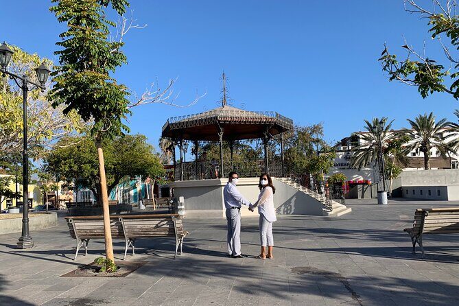 Los Cabos Private Chauffeur Service - Why Choose the Los Cabos Private Chauffeur Service?