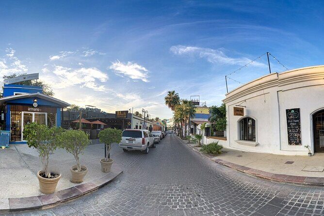 Los Cabos Private City Tour with Guide - Who Should Consider This Tour?