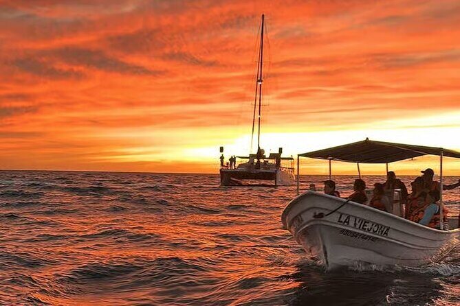 Los Cabos Sunset Boat Tour - Practical Details & What to Expect