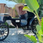 Los Cabos: Todos Santos Pueblo Magico Tour - What to Expect: A Traveler’s Perspective