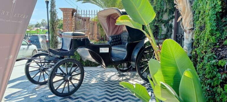 Los Cabos: Todos Santos Pueblo Magico Tour - What to Expect: A Traveler’s Perspective