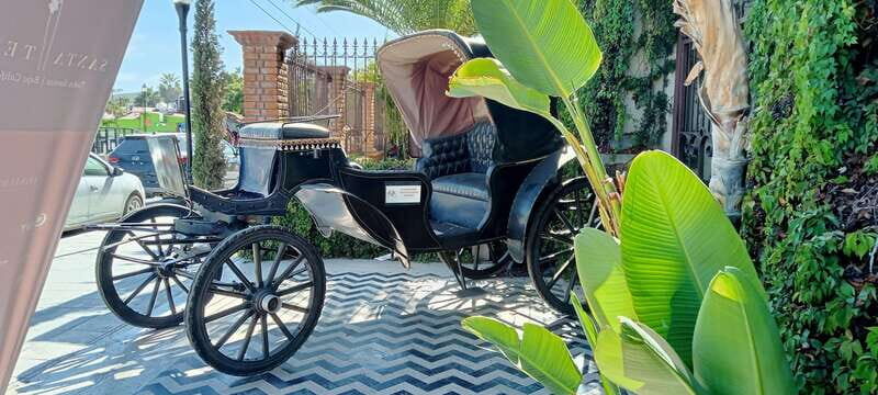 Los Cabos: Todos Santos Pueblo Magico Tour - What to Expect: A Traveler’s Perspective