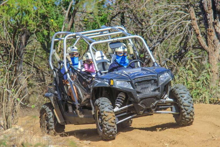 Los Cabos: Zip Lines and UTVs with Mexican Lunch and Drinks - Off-Road UTV Adventure: Desert Thrills and Scenic Views