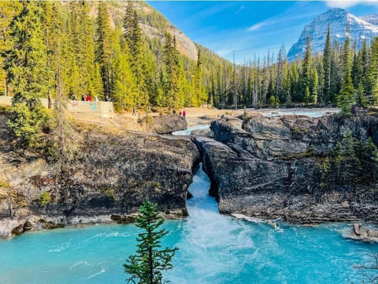 Louise, Moraine/Bow, Emerald, Peyto- 4 Lake Tour - What’s Included & What’s Not