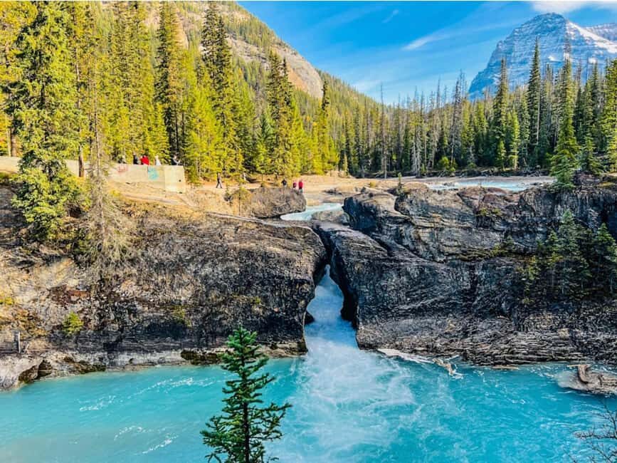 Louise, Moraine/Bow, Emerald, Peyto- 4 Lake Tour - What’s Included & What’s Not