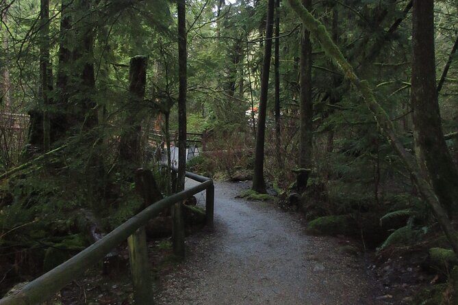 Love the Land Indigenous Walking Tour Capilano River Hatchery - Who Will Appreciate This Experience?
