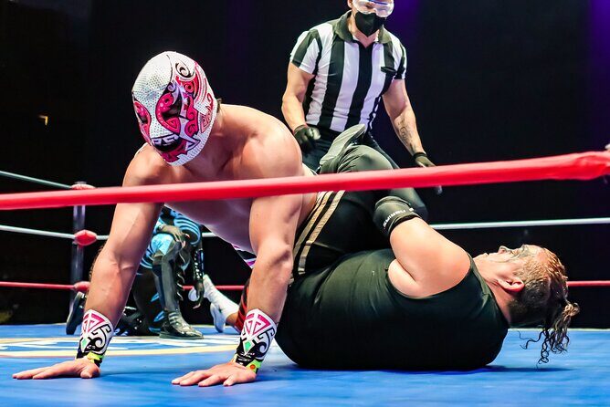 Lucha Libre, Pulque and Tacos Tour in Mexico City - Detailed Breakdown of the Itinerary