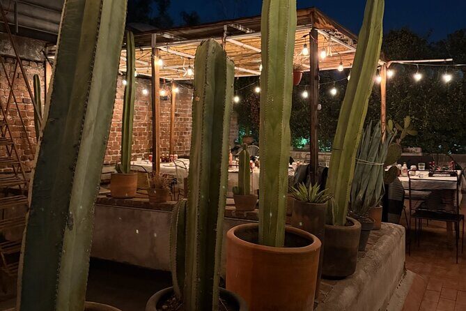 Lucha Libre VIP Meet and Greet - Final Thoughts