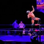 Lucha Libre wrestling show, tacos and beer with artist - Practical Details: What Travelers Should Know