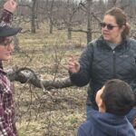 Lunch and Tour of an Apple Orchard with a Farmer in Elyria - Who Should Consider This Tour?