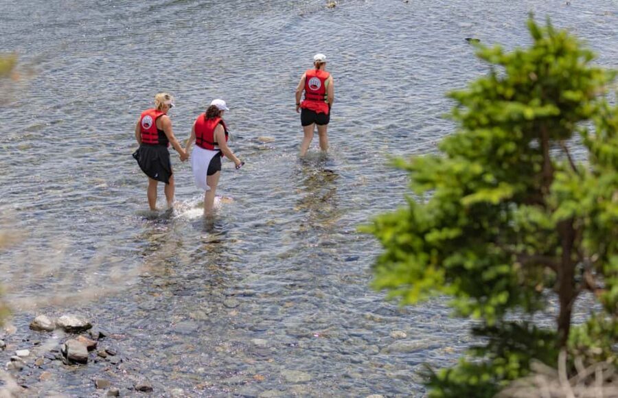 Lunenburg: Zodiac Wildlife Tour with Naturalist Guide - What Makes This Tour Stand Out
