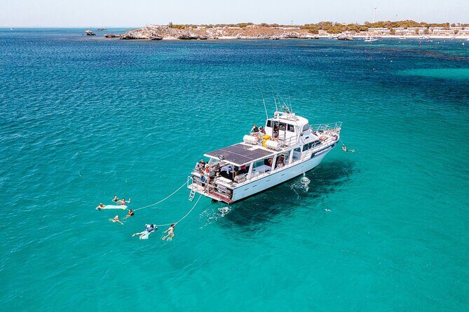 Luxe Island Seafood Cruise - Rottnest Island - Who Should Consider This Tour?