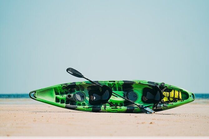 Luxury Kayak Tour To An Island Off Clearwater Beach! - (Tandem) - Why This Kayak Tour in Clearwater is a Great Choice