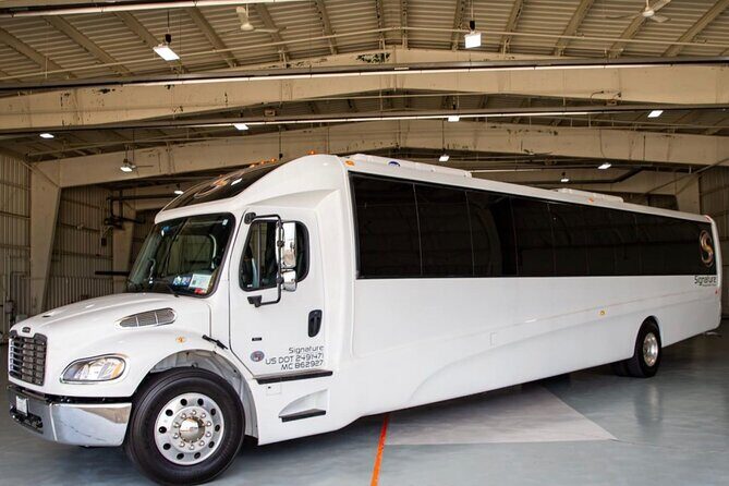 Luxury Minibus Chicago City Tour - Who Will Love This Tour?