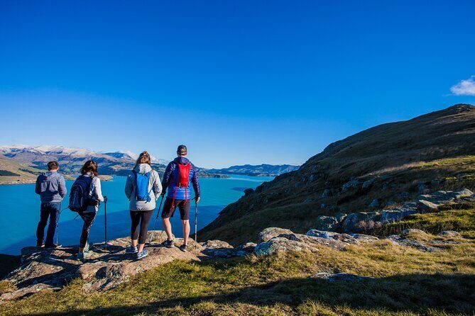 Luxury Private Guided Crater Rim Walk on Banks Peninsula - Final Thoughts: Is It Worth It?