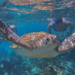 Luxury Sailing & Snorkeling Experience from Riviera Maya - Who Is This Tour Best For?