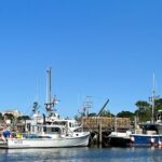 Luxury Semi-Private 4 Guest Seaside & Coastal eBike Tour |3-3.5Hr - The Value and Who Will Love It