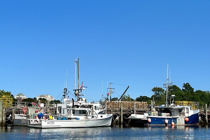 Luxury Semi-Private 4 Guest Seaside & Coastal eBike Tour |3-3.5Hr - The Value and Who Will Love It