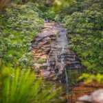 Luxury Small Group of 5 Blue Mountains Escape Tour - A Comprehensive Look at the Blue Mountains Escape Tour