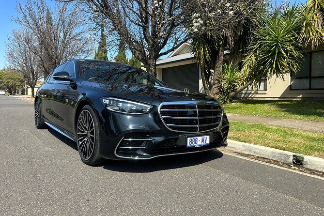 Luxury Sydney Airport Arrival Transfer - Sedan/SUV - The Drive and What to Expect