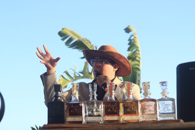 Luxury Tequila Experience & Sunset in Mazatlan - Who Is This Tour Best For?