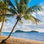 Luxury Van, Private Transfer, Cairns Airport - Palm Cove. - The Practical Details