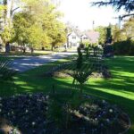 Lyttelton Cruise Excursions: Christchurch Sightseeing with Sheep Farm - Inclusions and Practical Info