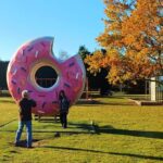 Lyttelton: Shore Excursion, Castle Hill & Inland Canterbury - Practical Details and What You Need to Know