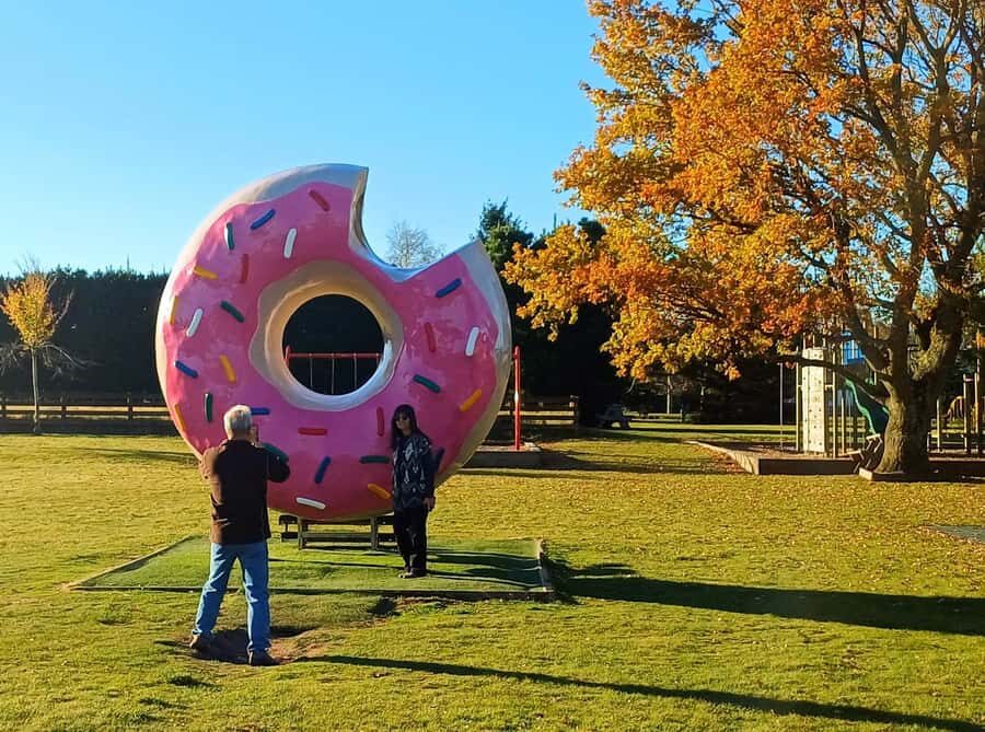 Lyttelton: Shore Excursion, Castle Hill & Inland Canterbury - Practical Details and What You Need to Know