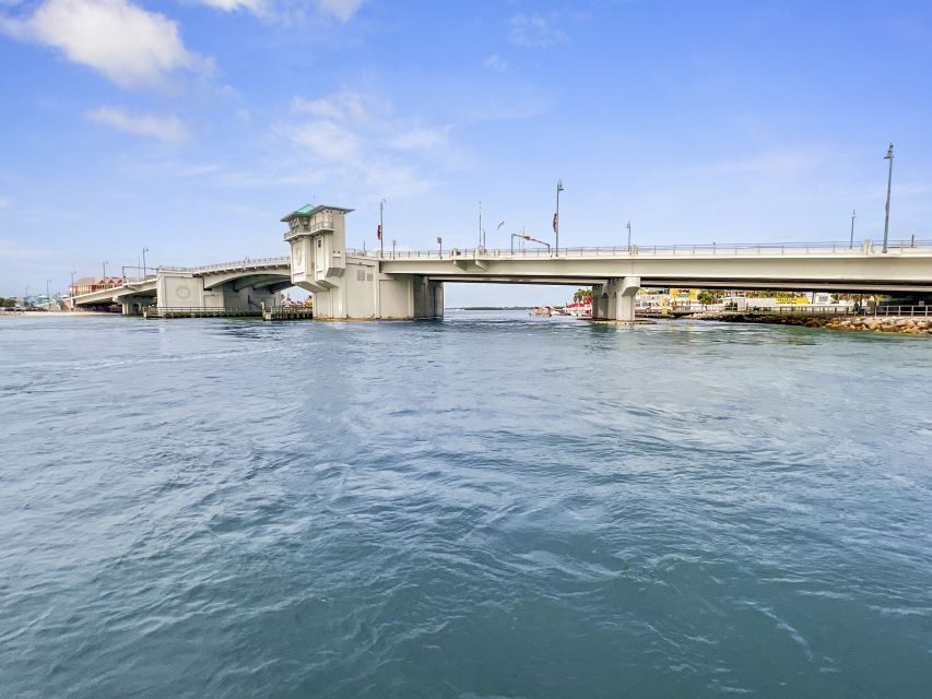 Madeira Beach: Guided Dolphin Watching Eco-Friendly Cruise - Who Will Love This Tour?