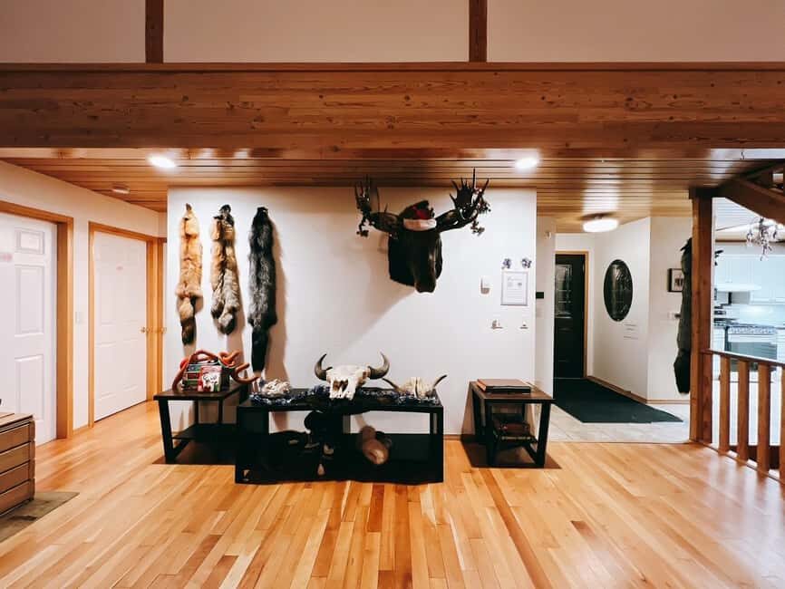 Madeline Lake: Aurora Lodge and Aurora Chasing Tour - The Sum Up