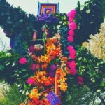 Magic Private Christmas Tour in Tepotzotlan - Sampling Seasonal Mexican Cuisine