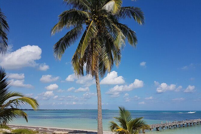 Magic Sian ka'an Deluxe two boats - The Practical Side: What You Need to Know