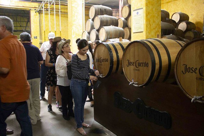 Magic Town Tequila and Agave Fields - Final Thoughts