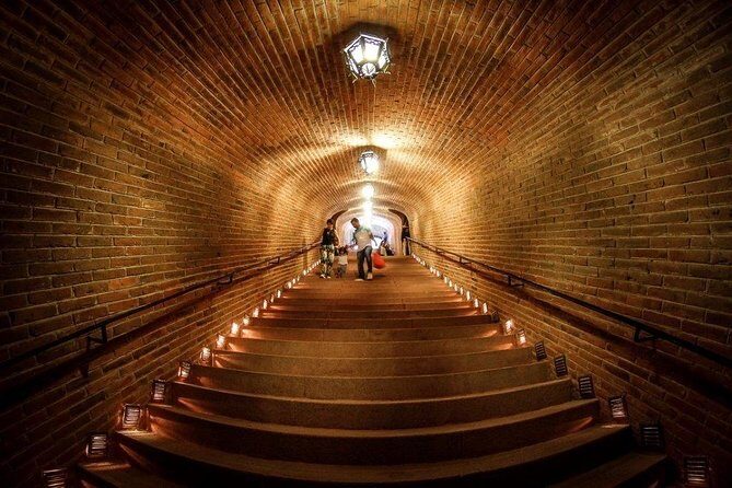 Magical Nature - Introduction to the Tour Experience