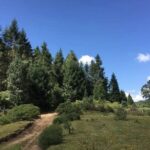 Magical Santa Clara leaving from Morelia - Who Will Enjoy This Tour?