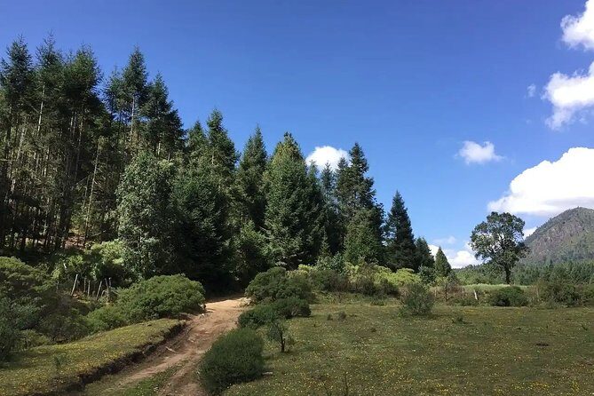 Magical Santa Clara leaving from Morelia - Who Will Enjoy This Tour?