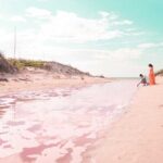 Magical Tour Las Coloradas Natural Pink Lagoon from Riviera Maya - Who Will Love This Tour?