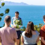 Magnetic Island Tour Behind the Scenes - Who Will Love This Tour?