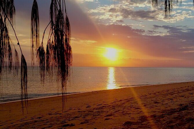 Magnetic Island: West Point Sunset Safari - Who Is This Tour For?