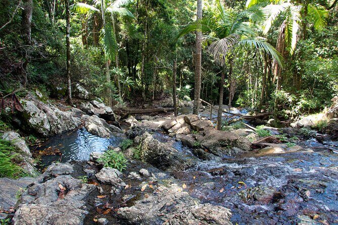 Maiala Rainforest Tour - The Practicalities: What You Need to Know
