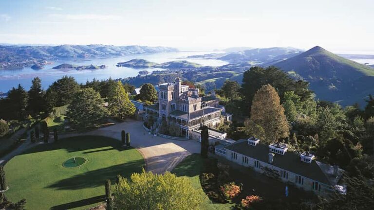 Mainland & Otago Peninsula Tour - A Closer Look at the Itinerary and What to Expect