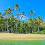 Majahuitas All inclusive Beach Day - What to Expect During Your Majahuitas Day Trip