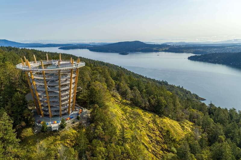 Malahat SkyWalk Ticket - An Overview of the Malahat SkyWalk Experience