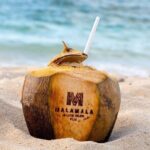 Malamala Beach Club - Half Day Pass - The Realities and Considerations