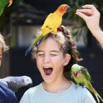 Maleny Botanic Gardens Bird Aviary Experience Ticket - What’s in Store: A Closer Look at the Itinerary
