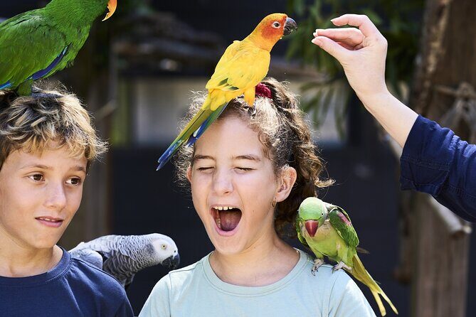 Maleny Botanic Gardens Bird Aviary Experience Ticket - What’s in Store: A Closer Look at the Itinerary