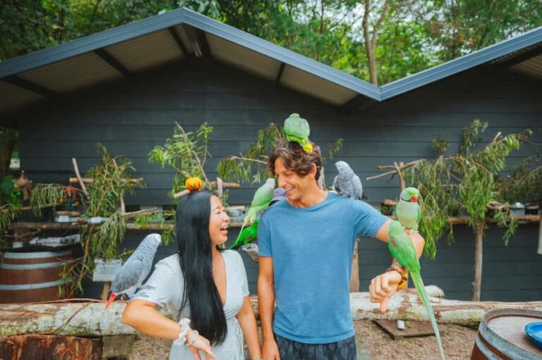 Maleny: Maleny Botanic Gardens & Bird World Entry Ticket - Exploring the Gardens