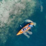 Manatee Kayak Encounter - Price and Value: Is It Worth It?